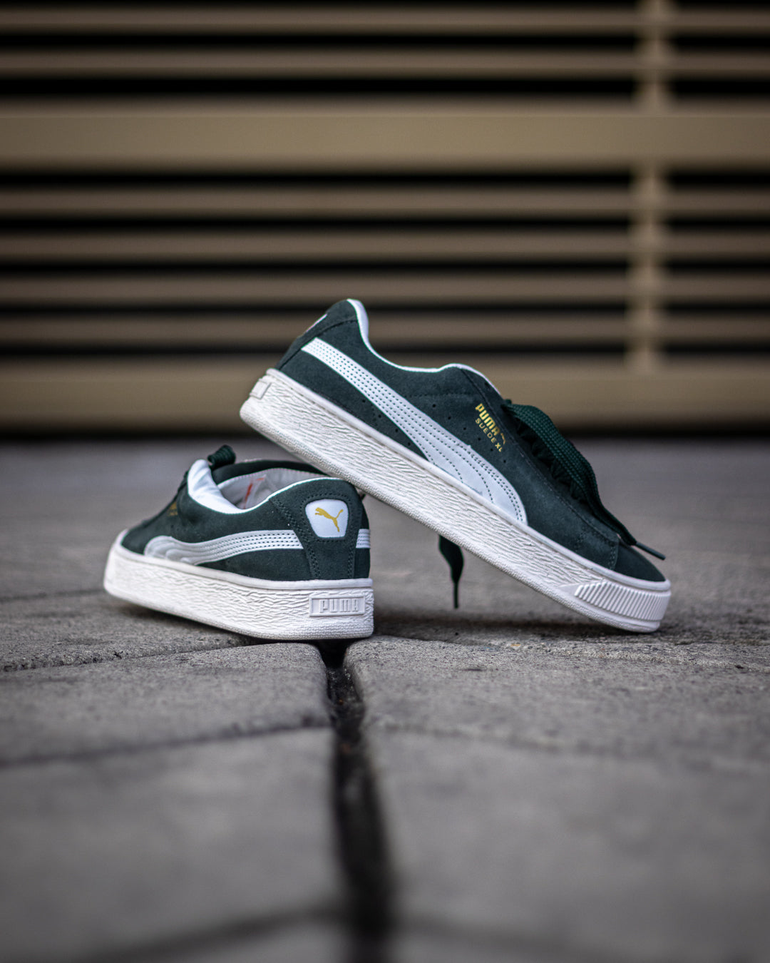 Puma seude xl – FEIDCLOTHES