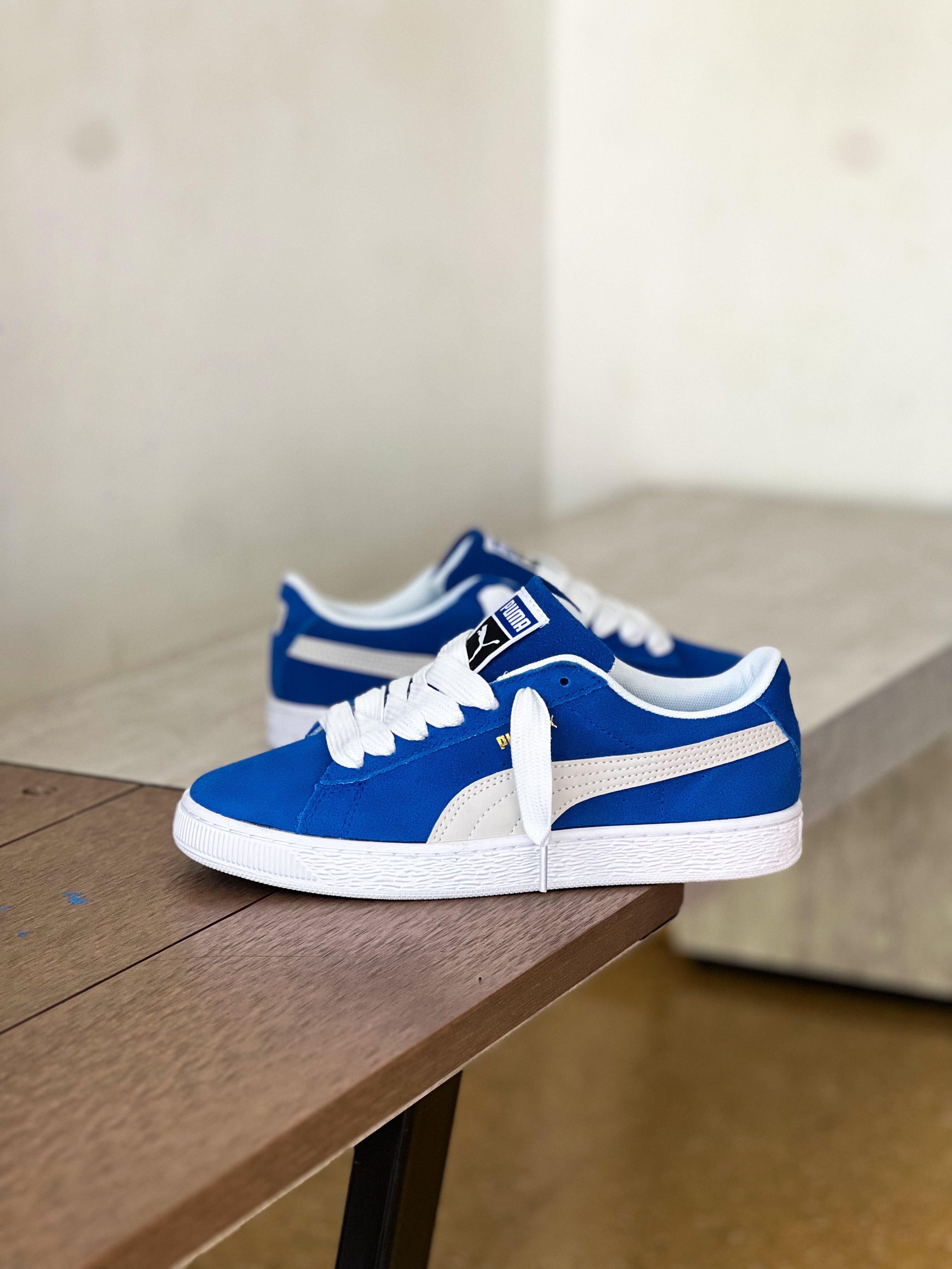 Puma seude – FEIDCLOTHES
